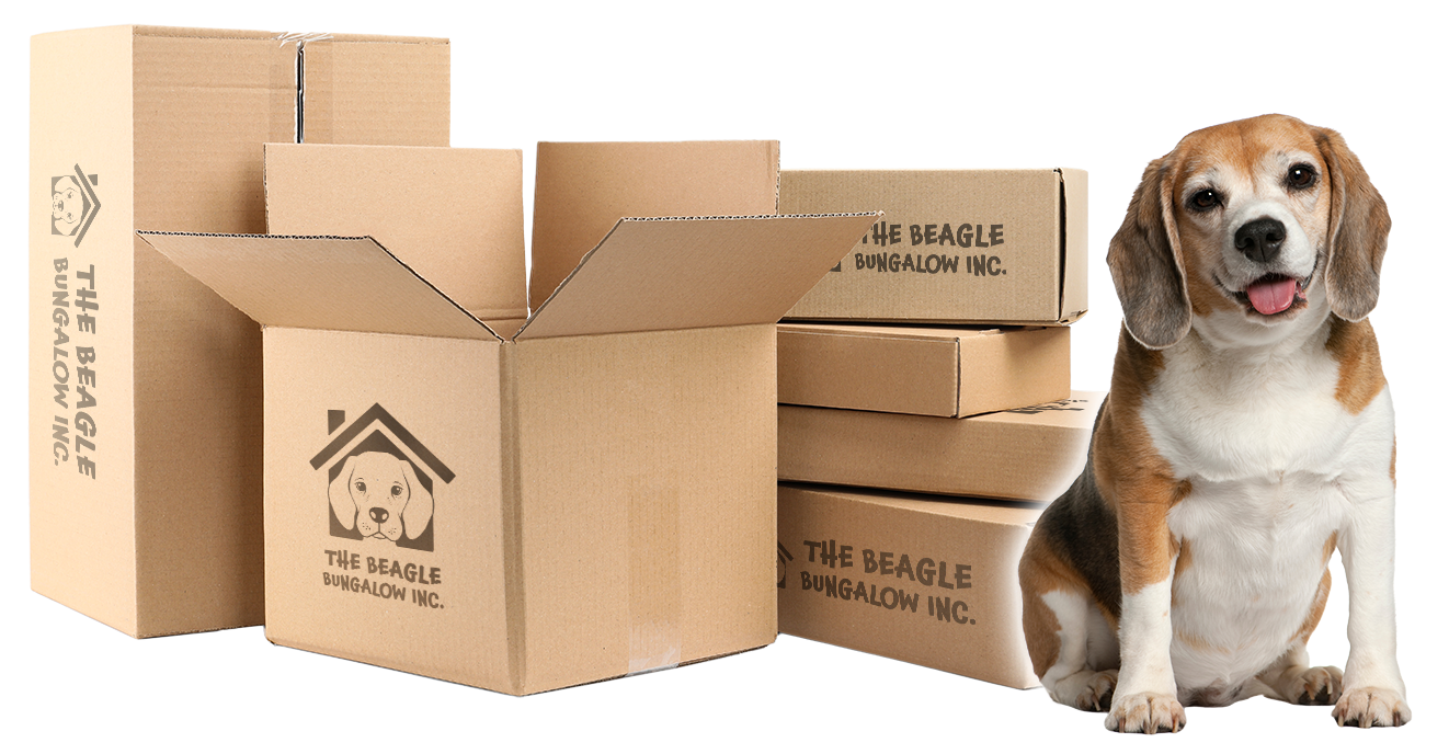 Adopt Through HBHR - The Beagle Bungalow Inc.